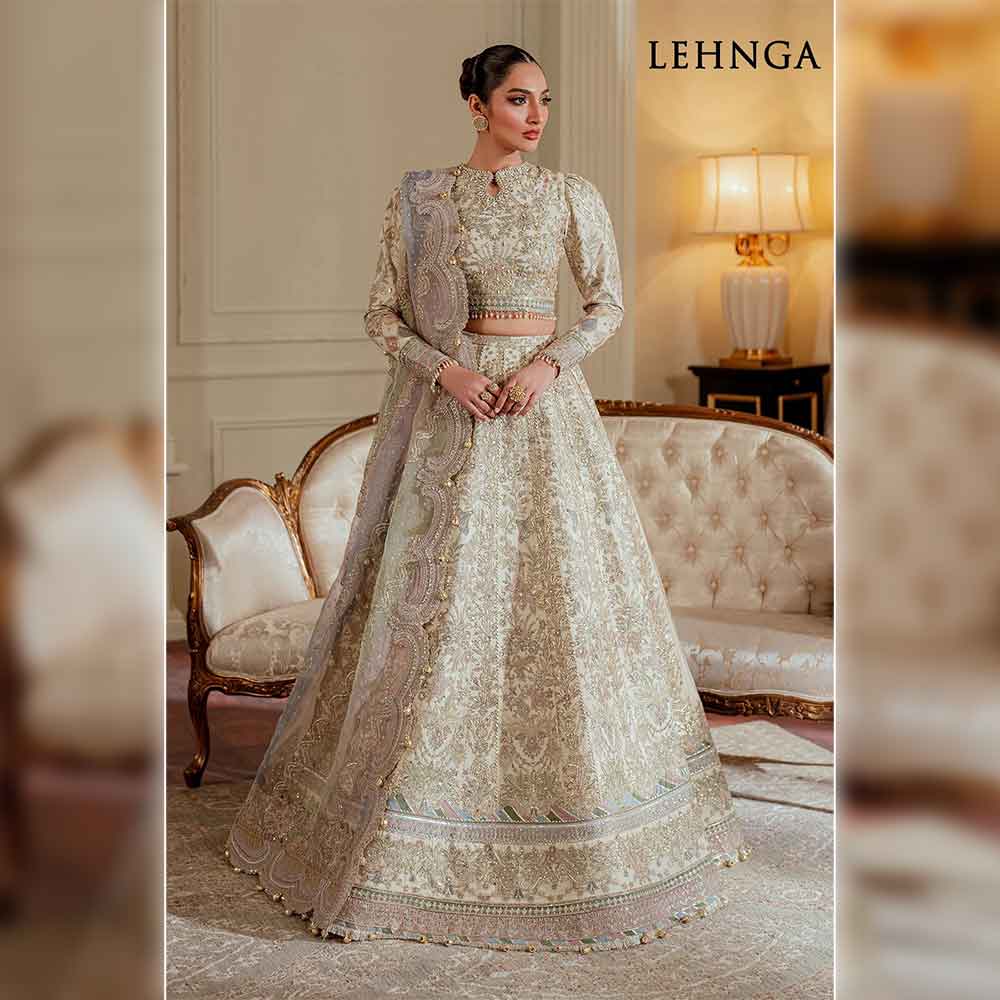 BAROQUE – Luxury Embroidered Net Dress | Kats Collection